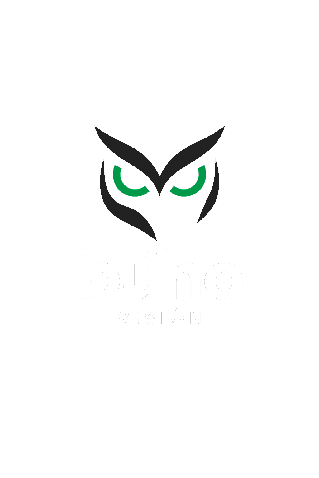 Buho Vision - Calendario de Producción